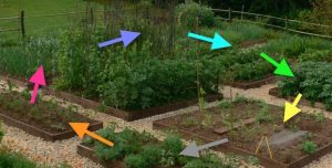 Crop Rotation for Growing Vegies - Jim's Mowing and Gardening